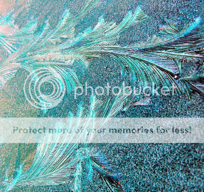 Ice patterns | Photo Maestro