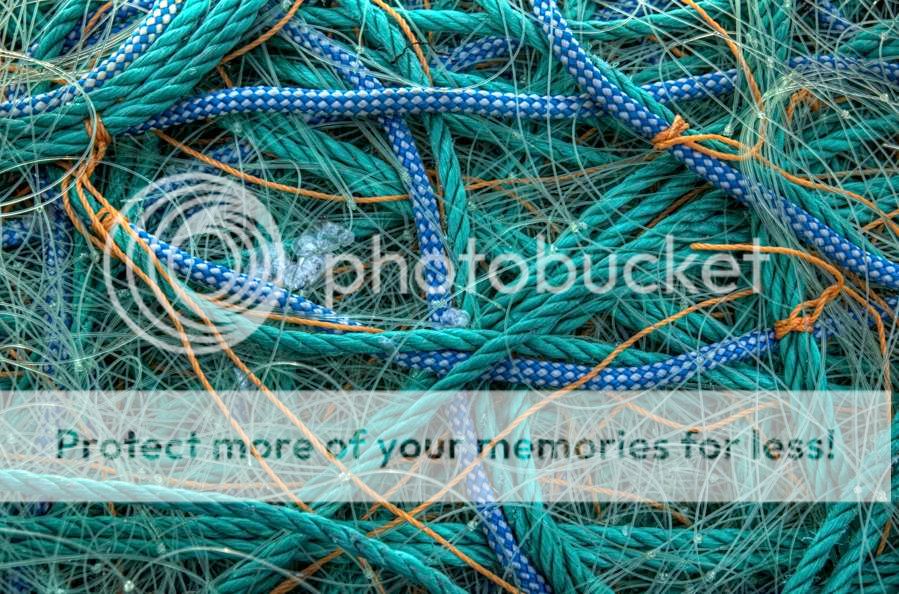 Coloured Ropes | Photo Maestro