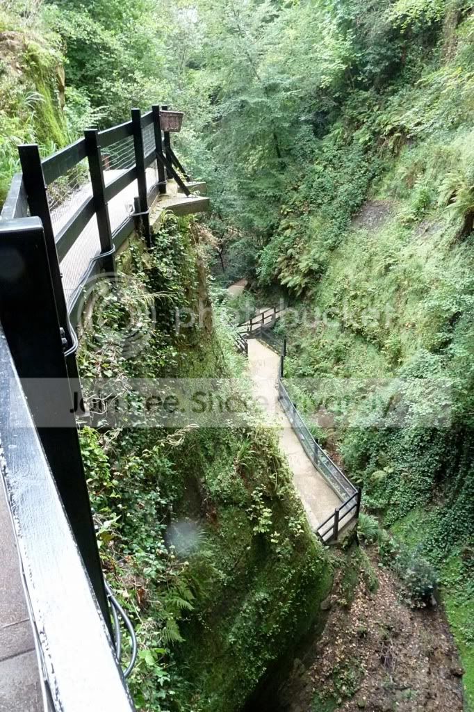 Isle of Wight – Shanklin Chine | Photo Maestro