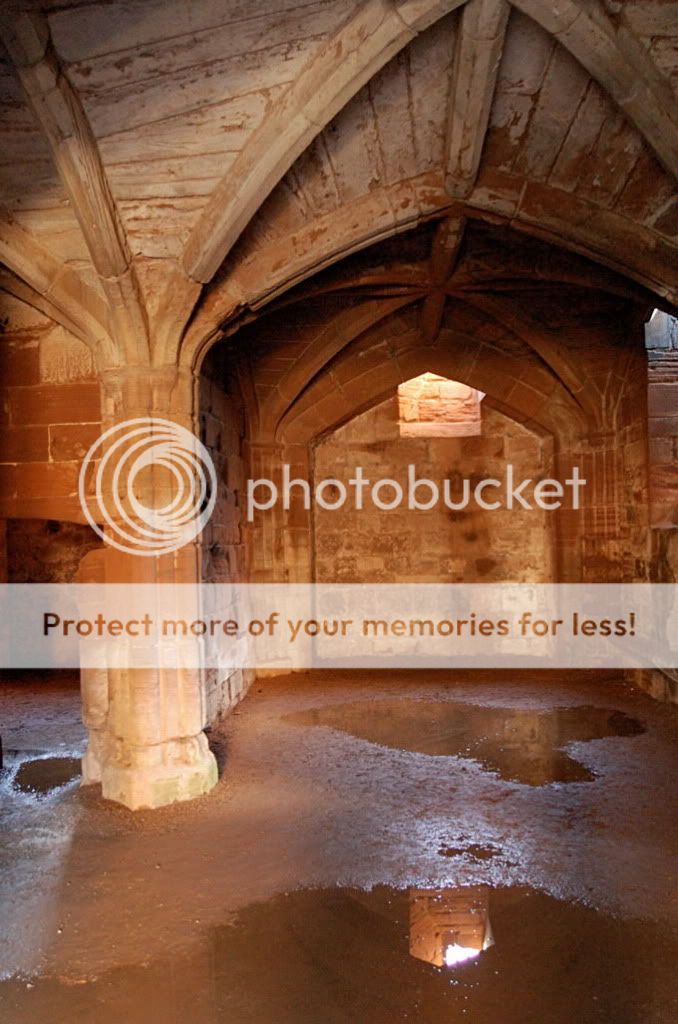 Kenilworth Castle, Underground Store | Photo Maestro